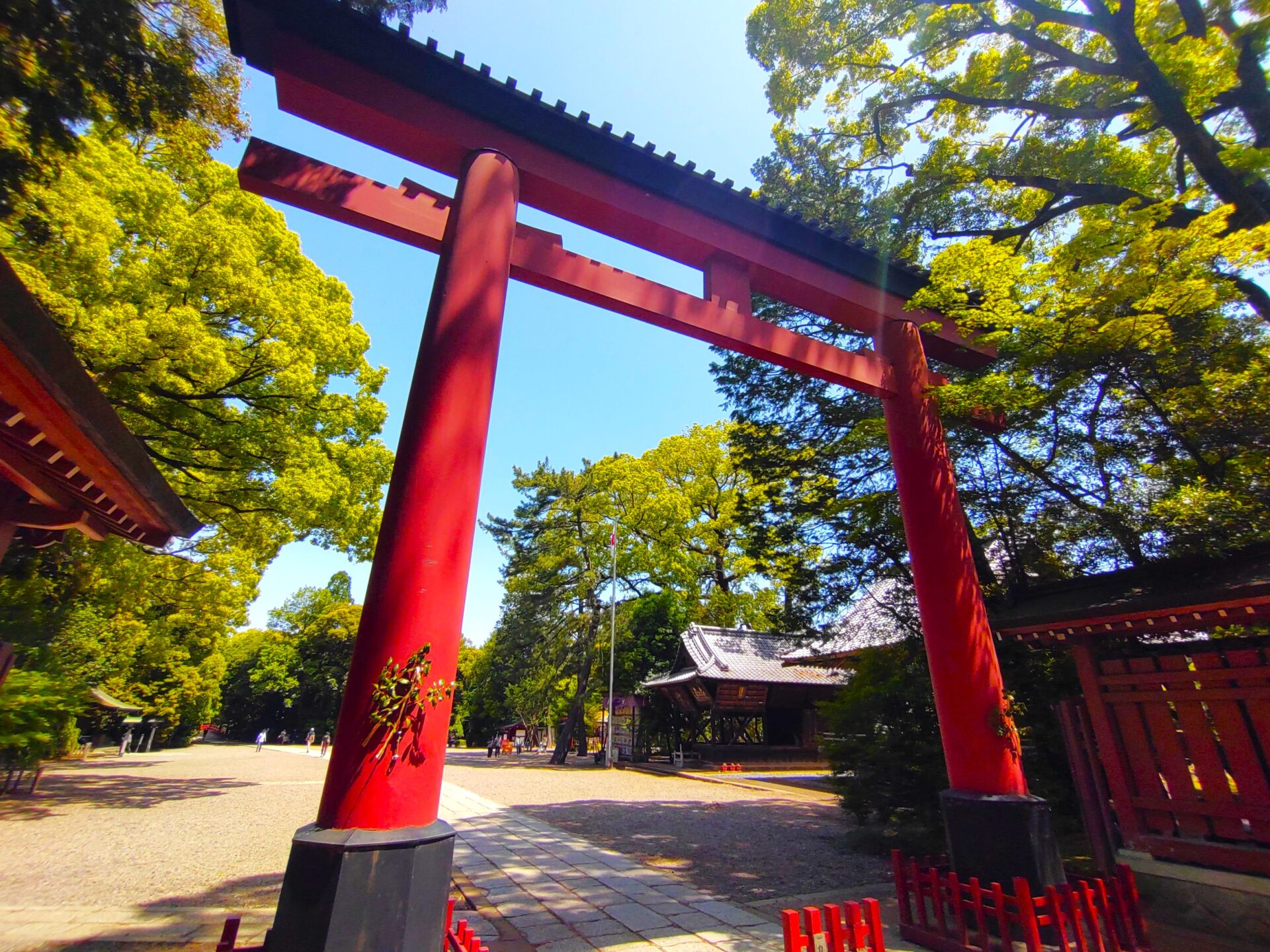 Hikawa Shrine (Musashi Ichinomiya) [Saitama] | Tour of Japanese shrines ...