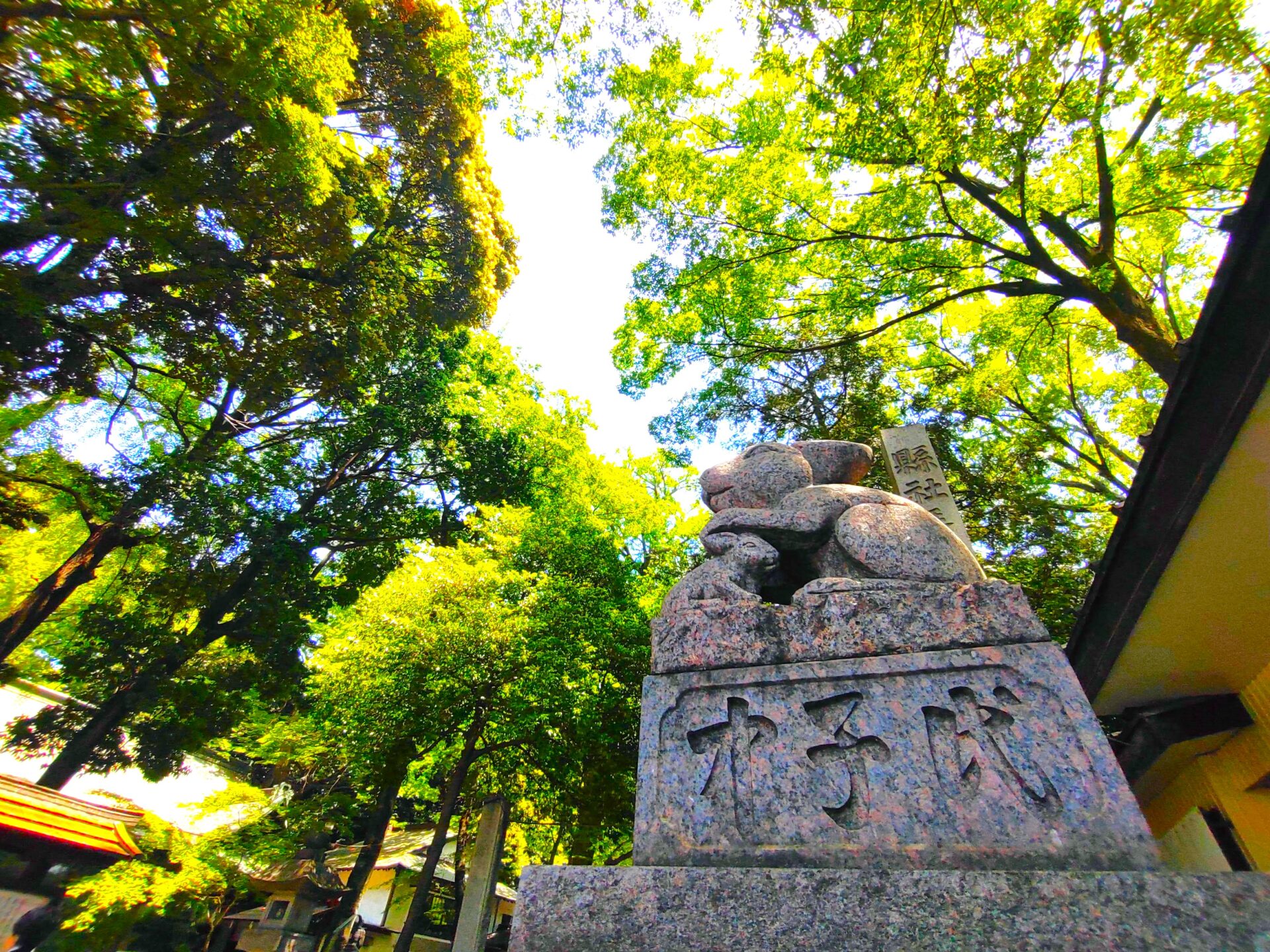 Tsuki Shrine [Saitama] | Tour of Japanese shrines and temples