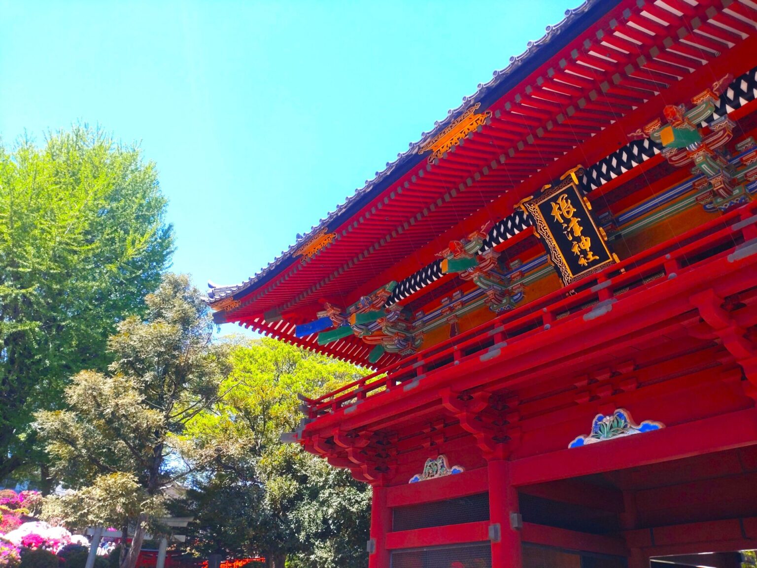 Nezu Shrine and Otome Inari Shrine [Tokyo] | Tour of Japanese shrines ...