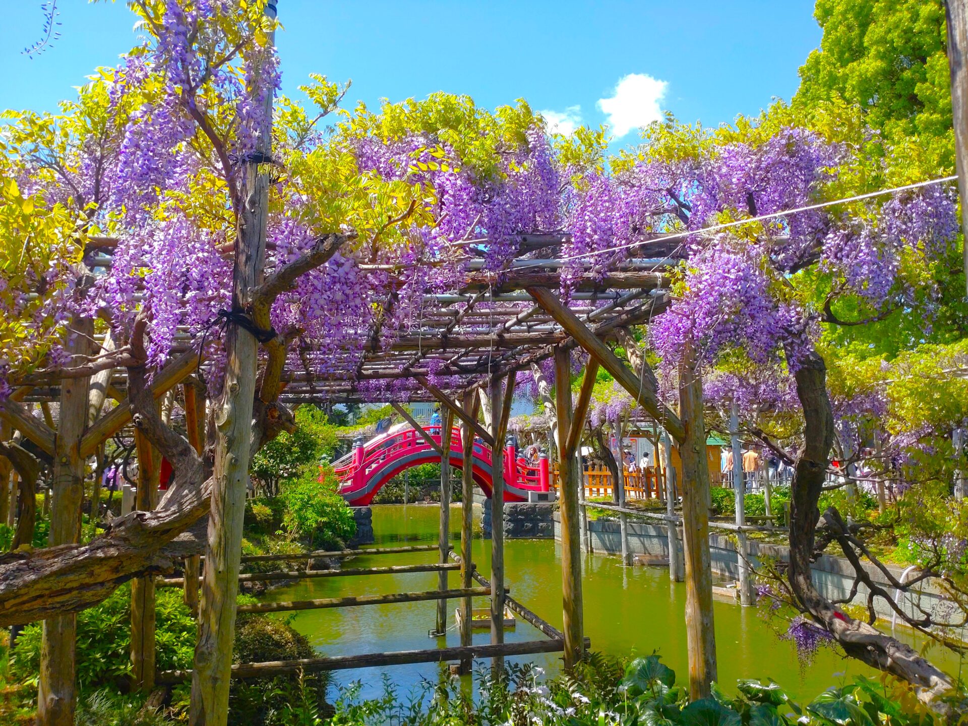 Kameido Tenjin Shrine [Tokyo] | Tour of Japanese shrines and temples