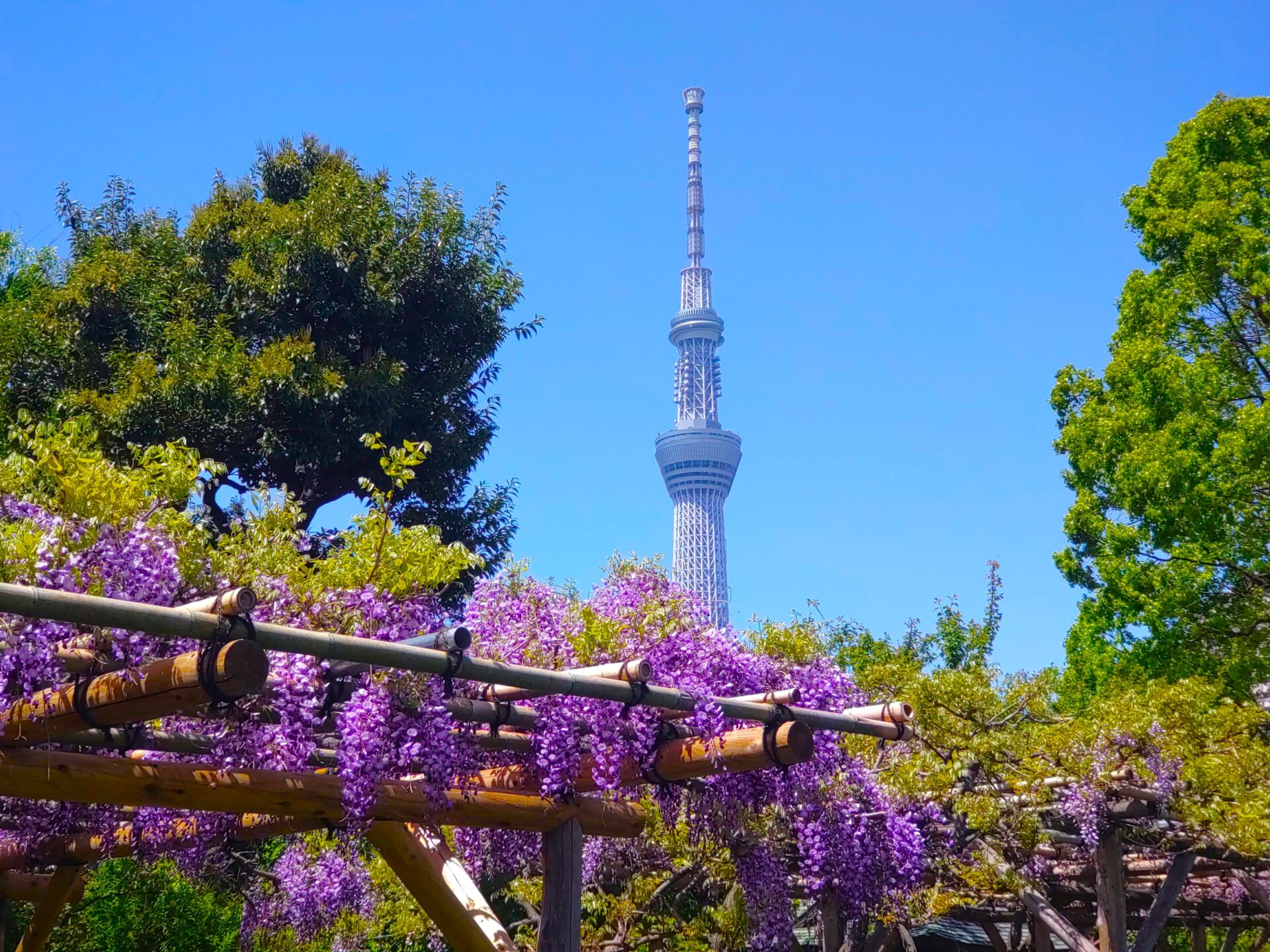 Kameido Tenjin Shrine [Tokyo] | Tour of Japanese shrines and temples