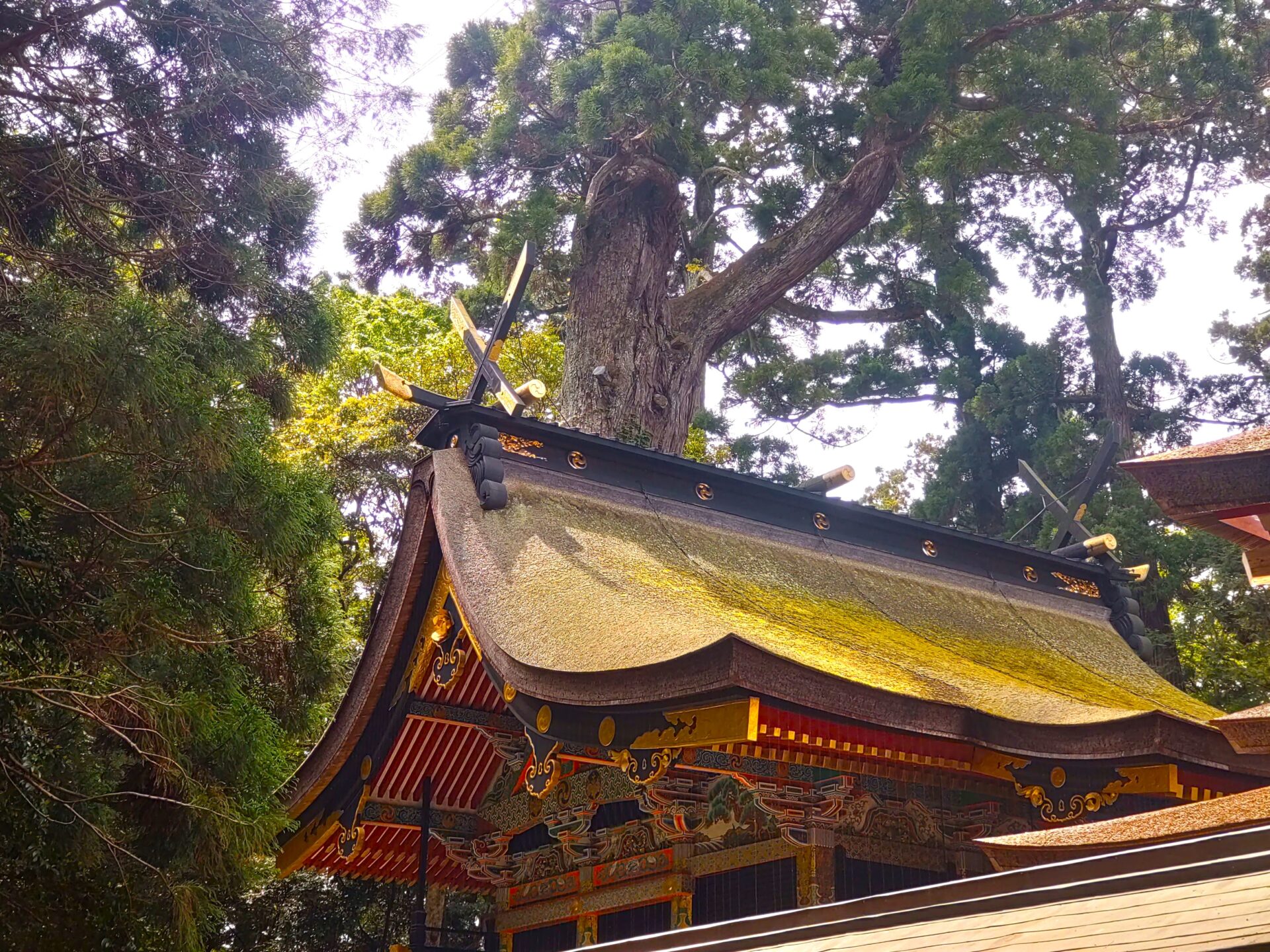 Kashima Jingu Shrine [Ibaraki] | Tour of Japanese shrines and temples