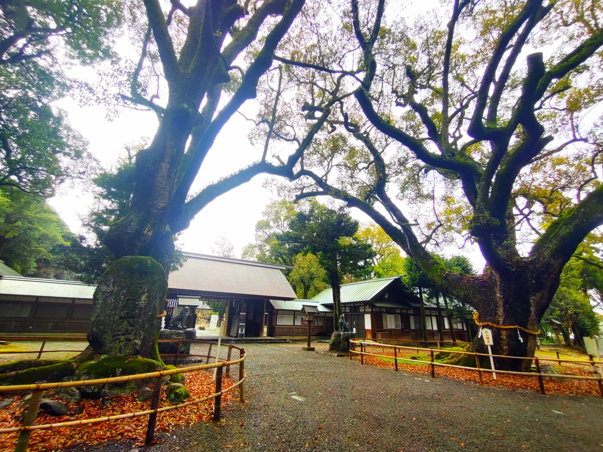 Isono Shrine [Ehime] | Tour of Japanese shrines and temples