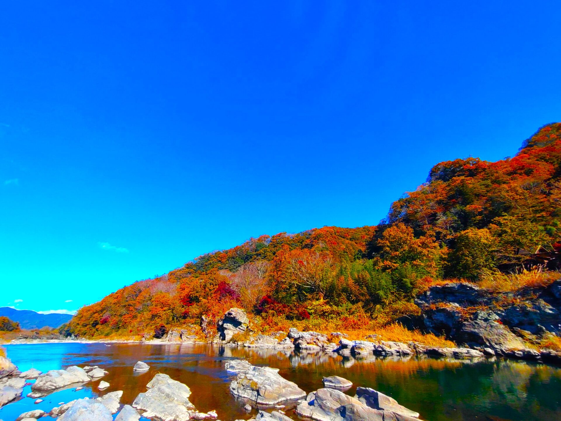 Lunar Stone Maple Park and Saitama Museum of Nature [Saitama] | Tour of ...